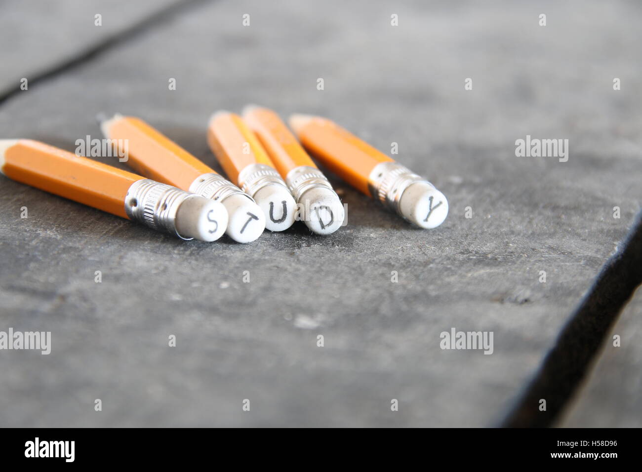 study concept, inscription on pencils Stock Photo - Alamy