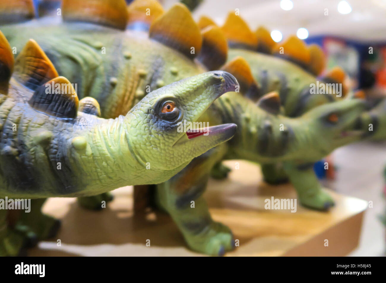 Gift Shop at the American Museum of Natural History, NYC Stock Photo ...
