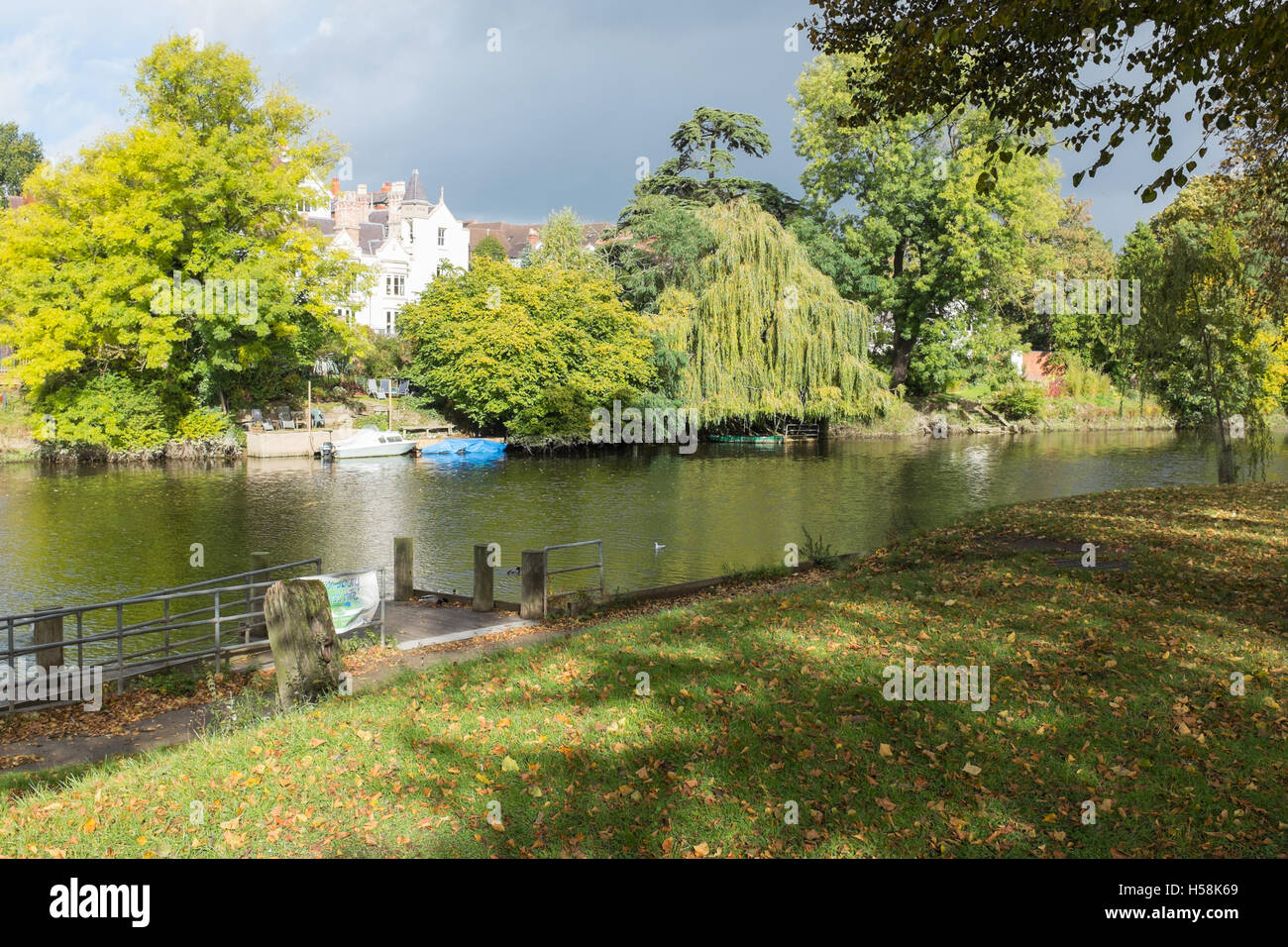 Trees on the banks of the River Severn in Shrewsbury in Autumn sunshine ...
