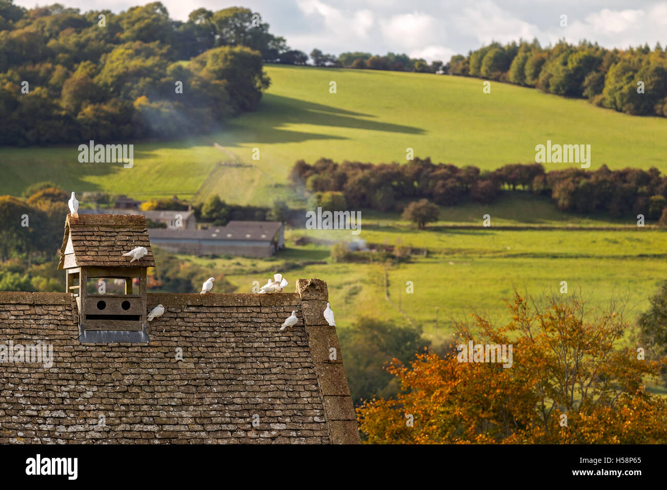 British countryside scenery on an early autumn day Stock Photo - Alamy