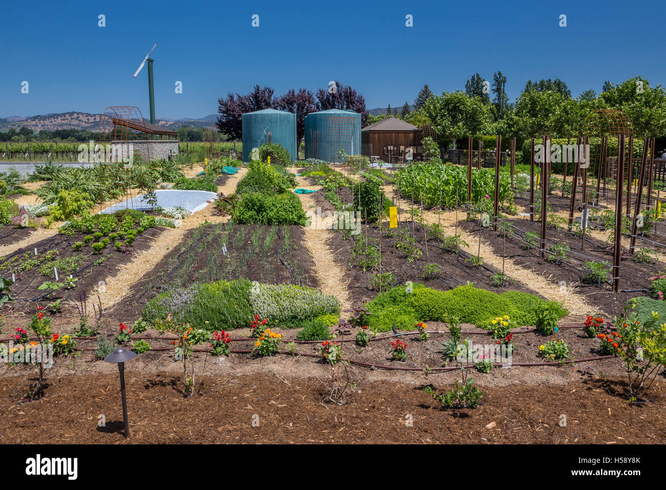 garden, gardening, organic garden, culinary garden, culinary garden ...