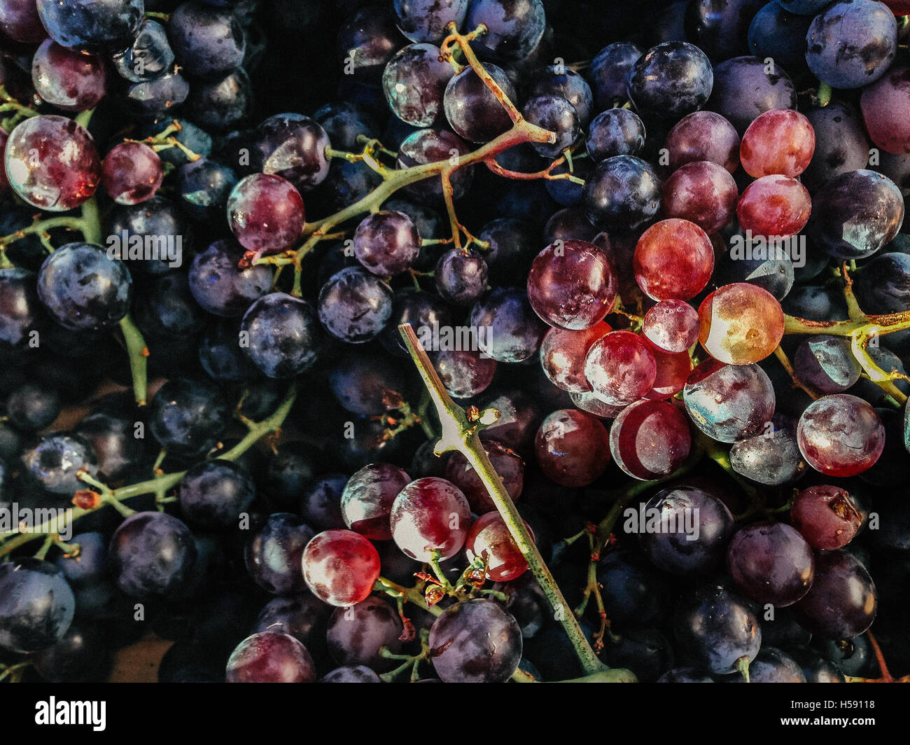 Closeup grapes hi-res stock photography and images - Alamy