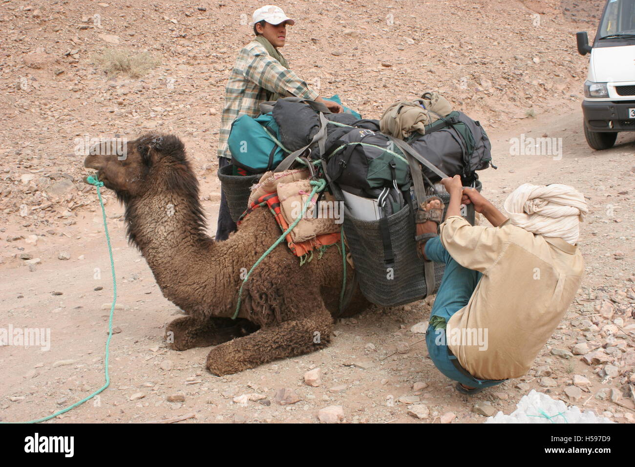 Two local camel guides hi-res stock photography and images - Alamy