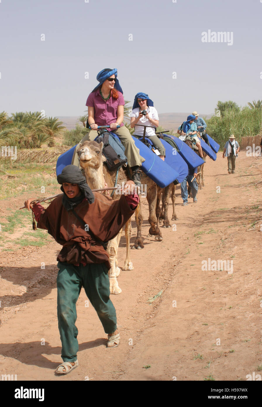 A local guide leads western tourists on a camel trek through an oasis ...