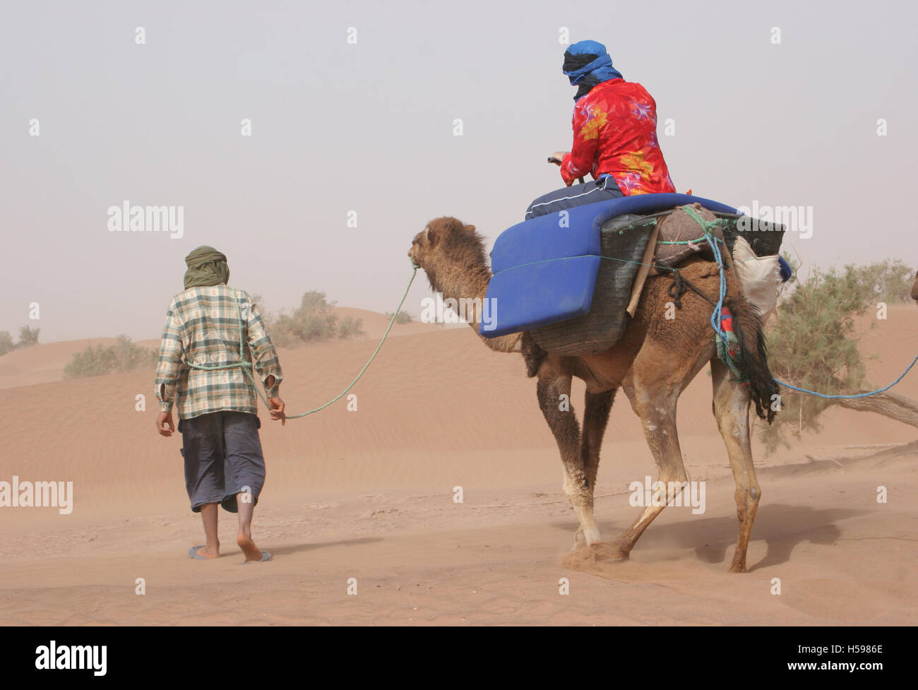 A local guide leads a western tourist on a camel during a Sahara desert ...