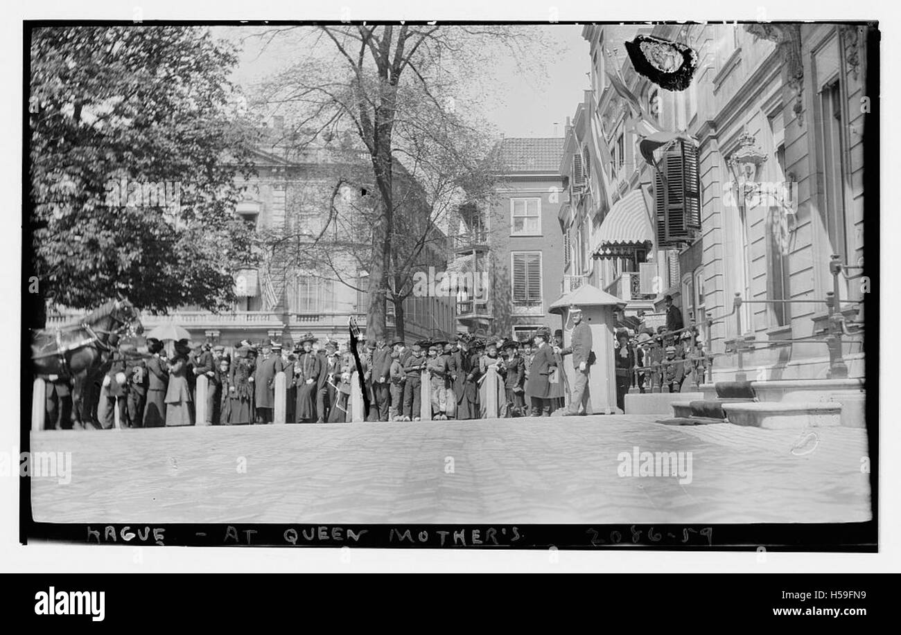 Hague - at Queen Moth Stock Photo - Alamy