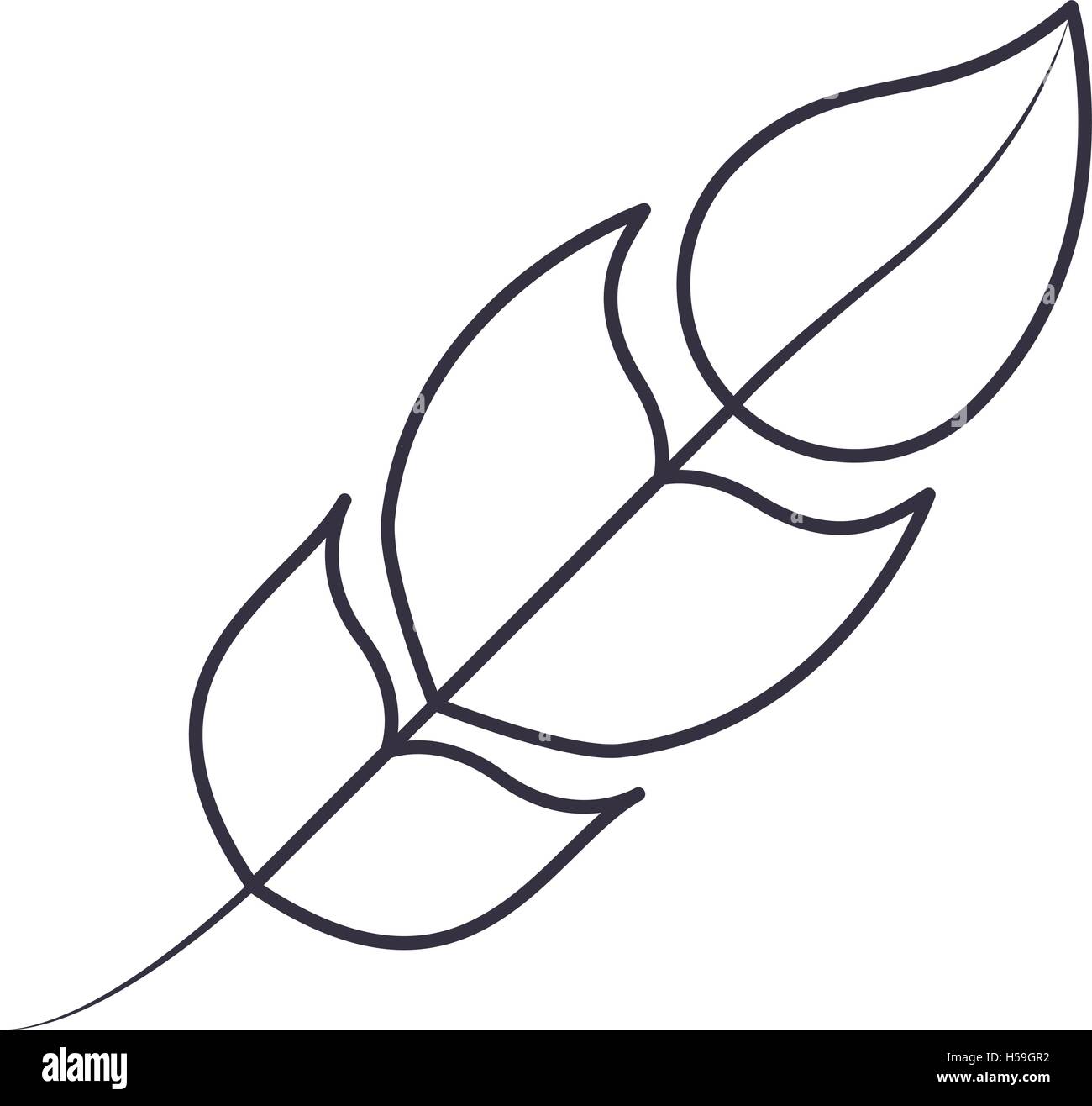 Isolated feather plume design Stock Vector Image & Art - Alamy