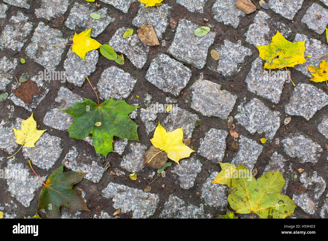 Yellow Cobblestones High Resolution Stock Photography and Images - Alamy