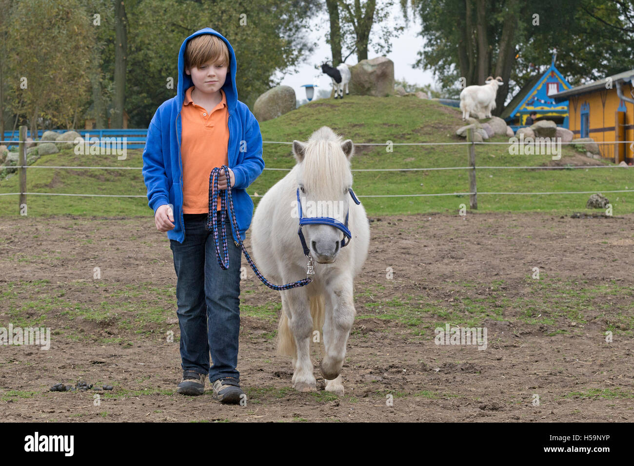 Boy And Pony Stock Photos & Boy And Pony Stock Images - Alamy