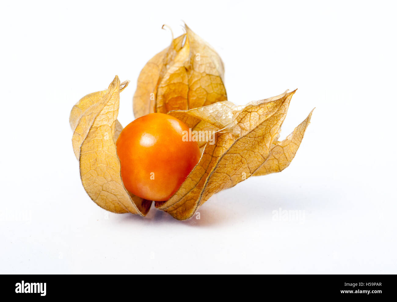Tropical gooseberries hi-res stock photography and images - Alamy