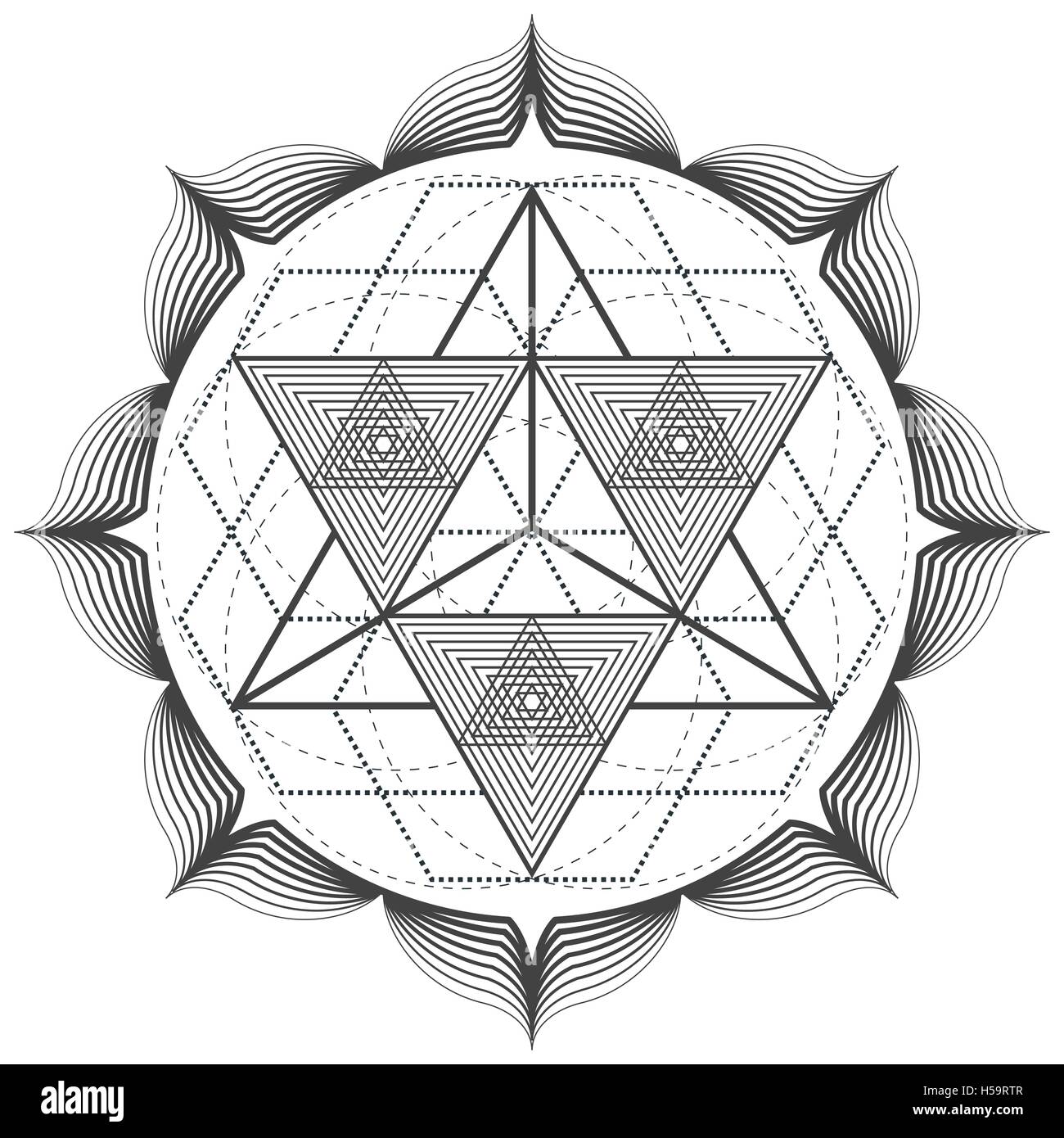 vector contour monochrome design mandala sacred geometry illustration ...
