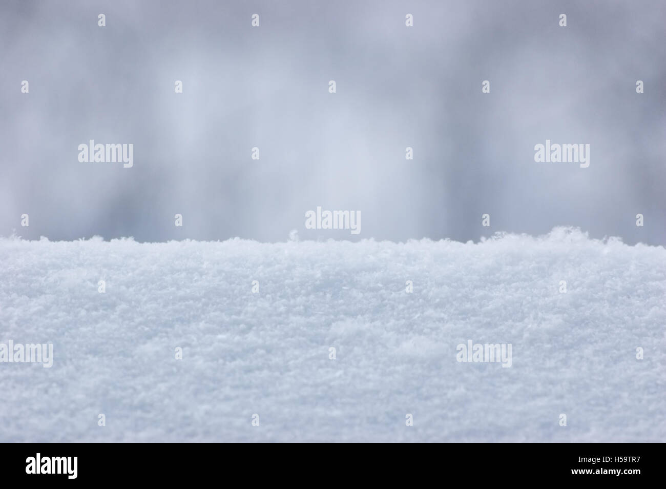 Fresh Snow Texture Abstract Background, Detailed Textured Horizontal ...