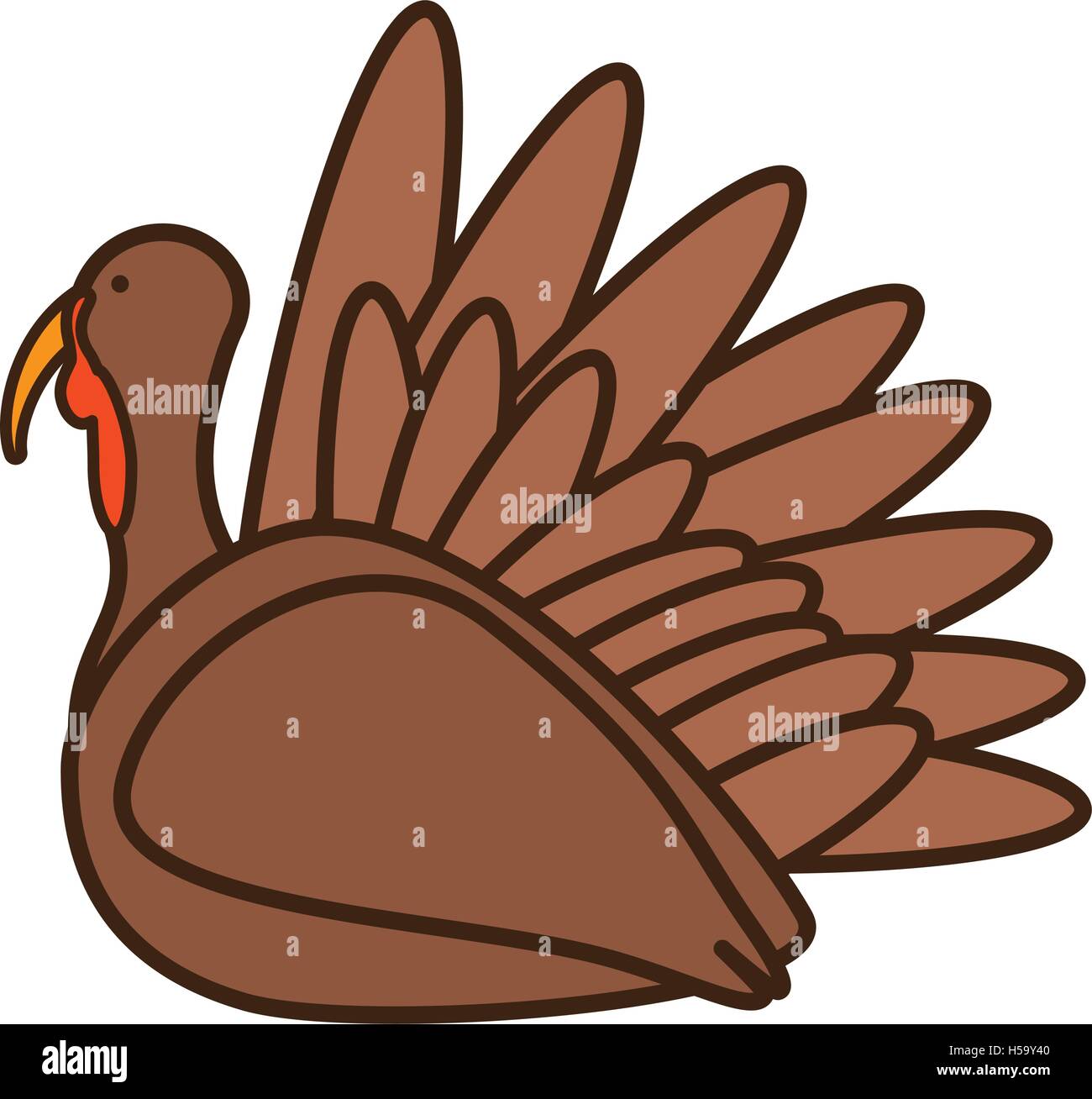 Turkey Bird Drawing High Resolution Stock Photography and Images - Alamy