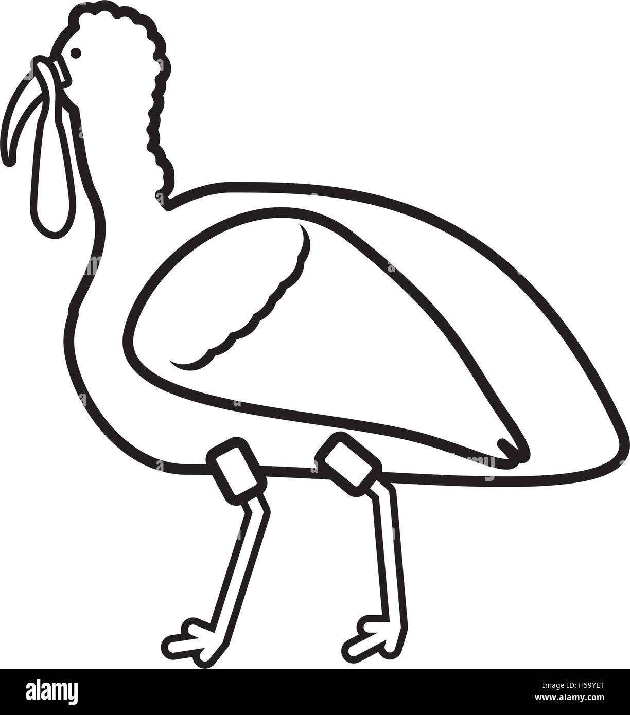 turkey bird thanksgiving icon Stock Vector Image & Art - Alamy