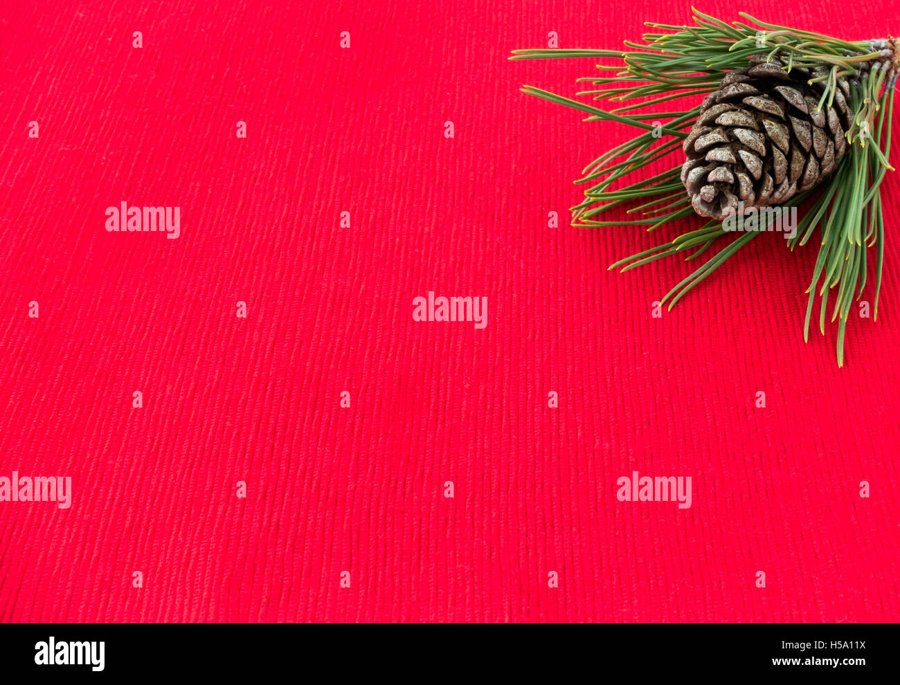 Pine cone arrangement hi-res stock photography and images - Alamy