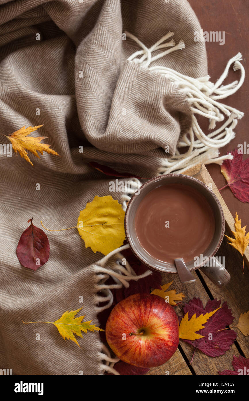 hot chocolate warming drink wool throw cozy autumn leaves Stock Photo ...