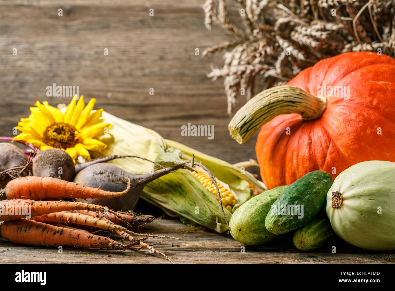 Autumn rustic vegetables Stock Photo - Alamy