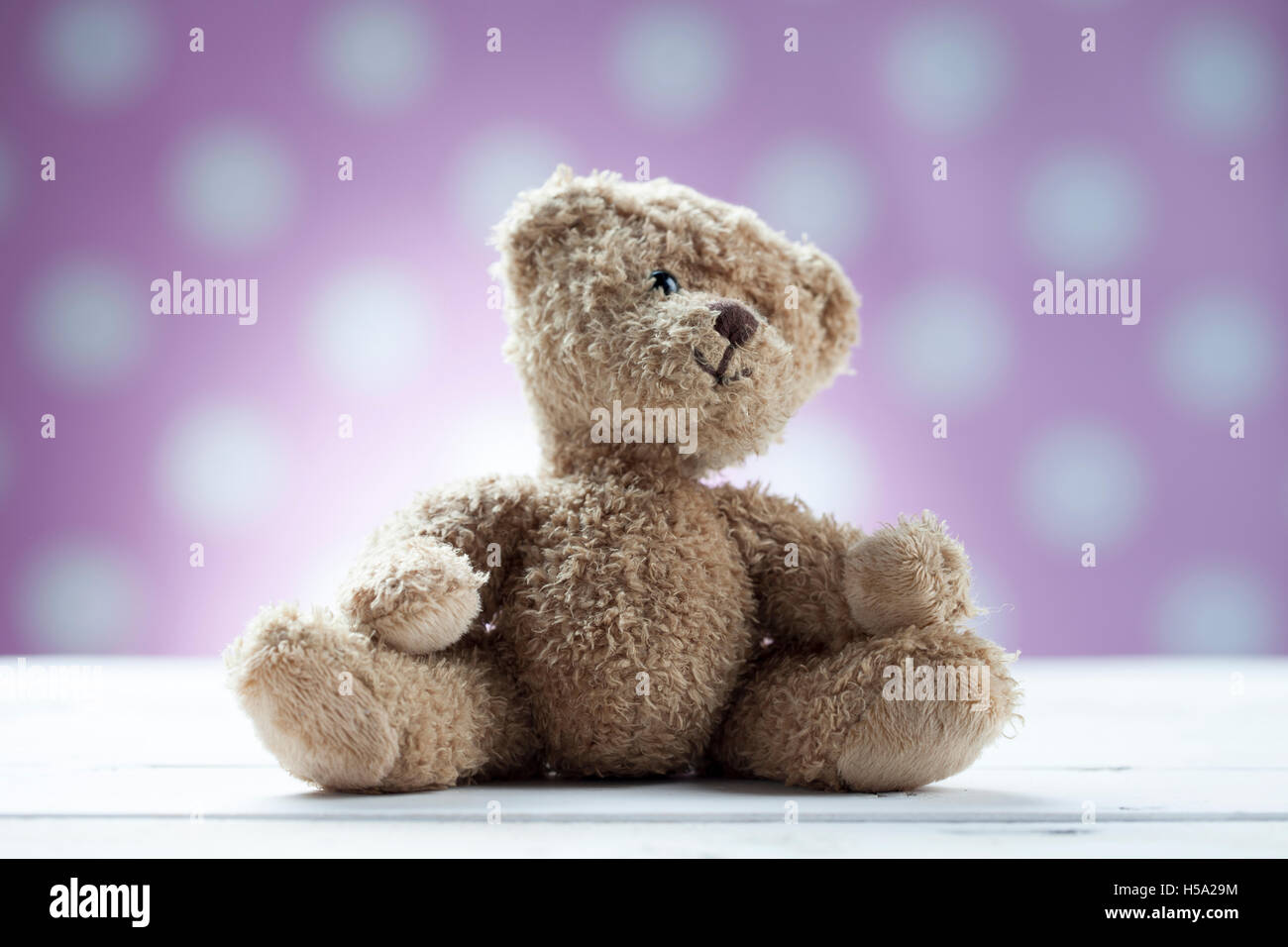 Teddy Bear High Resolution Stock Photography and Images - Alamy