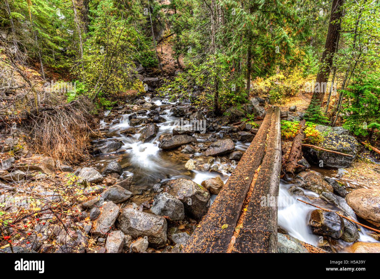 Log over creek hi-res stock photography and images - Alamy
