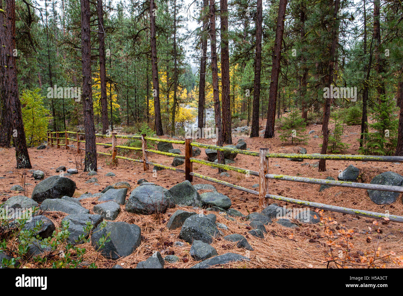 Falls Creek Campground Stock Photo - Alamy