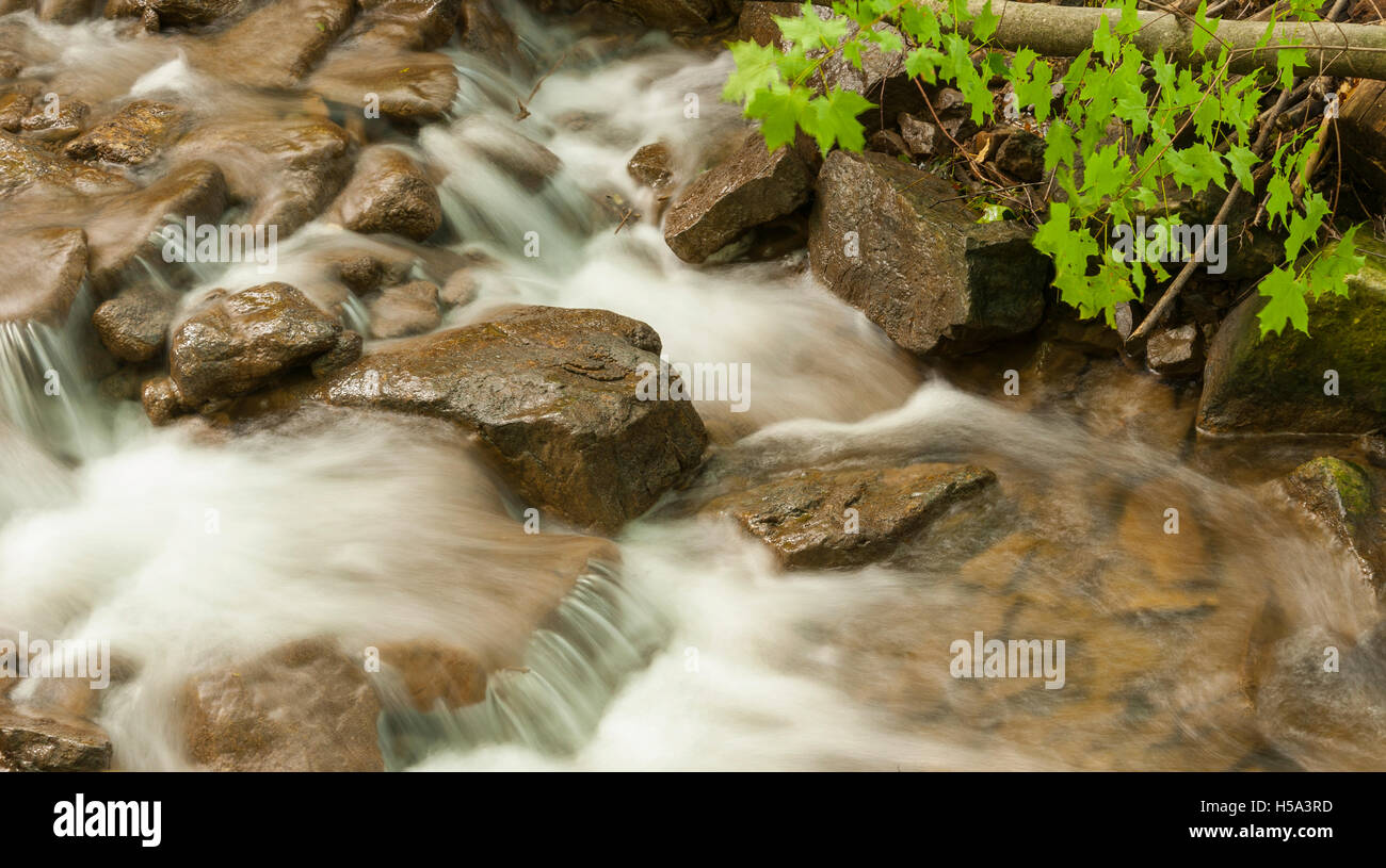 Branches lightly swaying above rock waterfalls in a stream Stock Photo ...