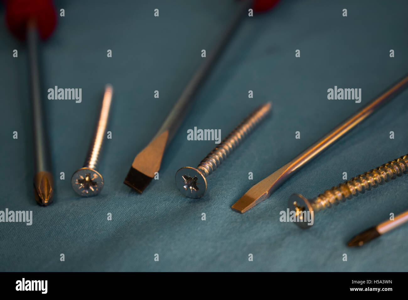 Different type of Screws and Screwdrivers lined on drapery with dark ...