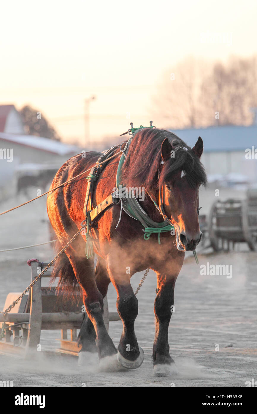 Early morning view racing hi-res stock photography and images - Alamy