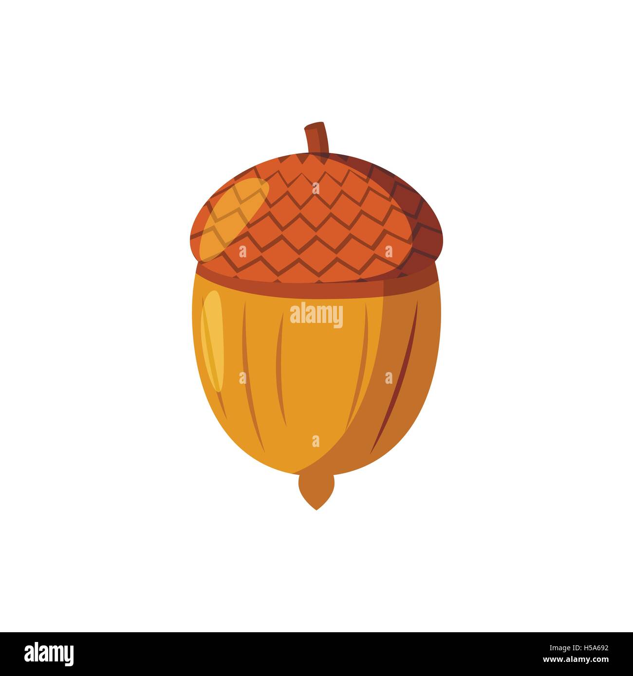 Acorn, icon, cartoon style Stock Vector Image & Art - Alamy