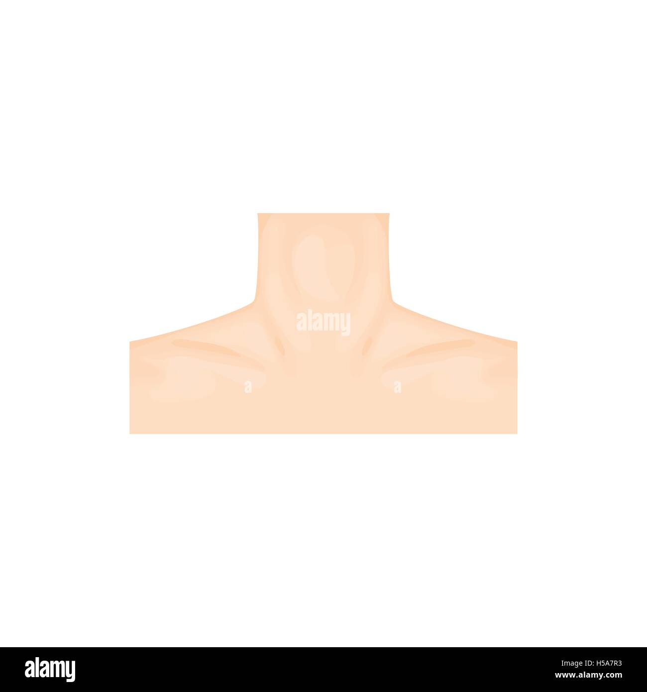 Human neck icon in cartoon style Stock Vector Image & Art - Alamy