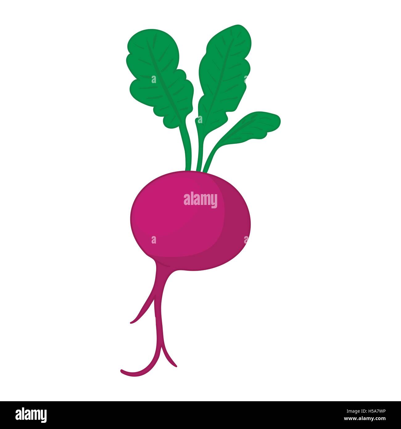 Beet icon in cartoon style Stock Vector Image & Art - Alamy