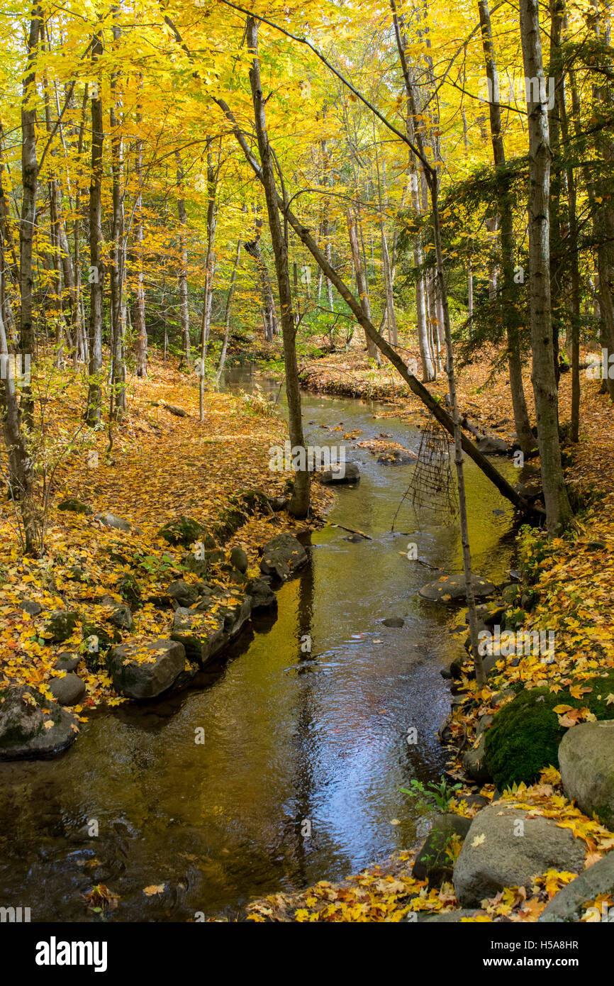 A stream in autumn Stock Photo - Alamy
