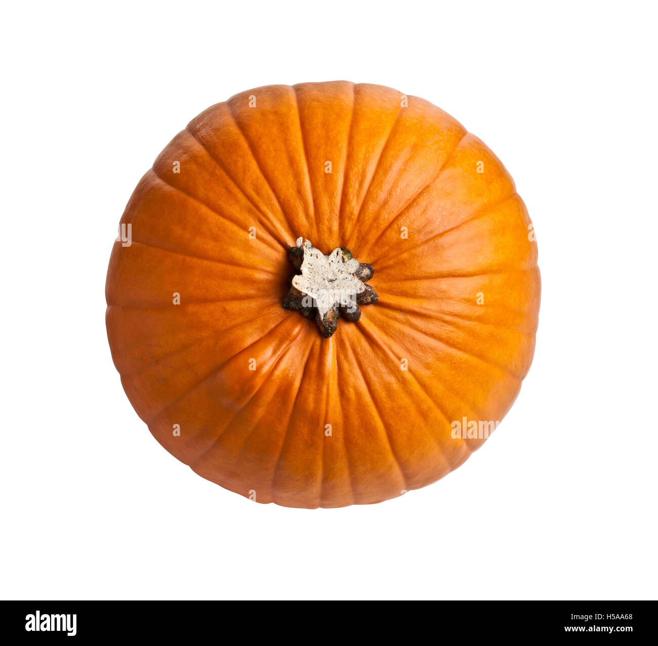 halloween pumpkin isolated on white Stock Photo - Alamy