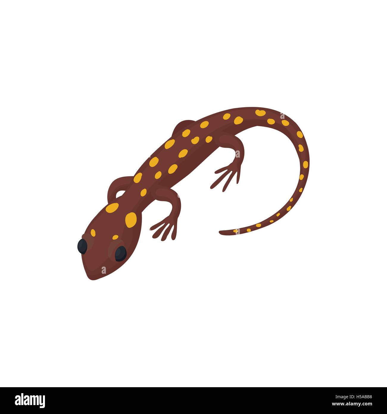 Lizard icon, cartoon style Stock Vector Image & Art - Alamy