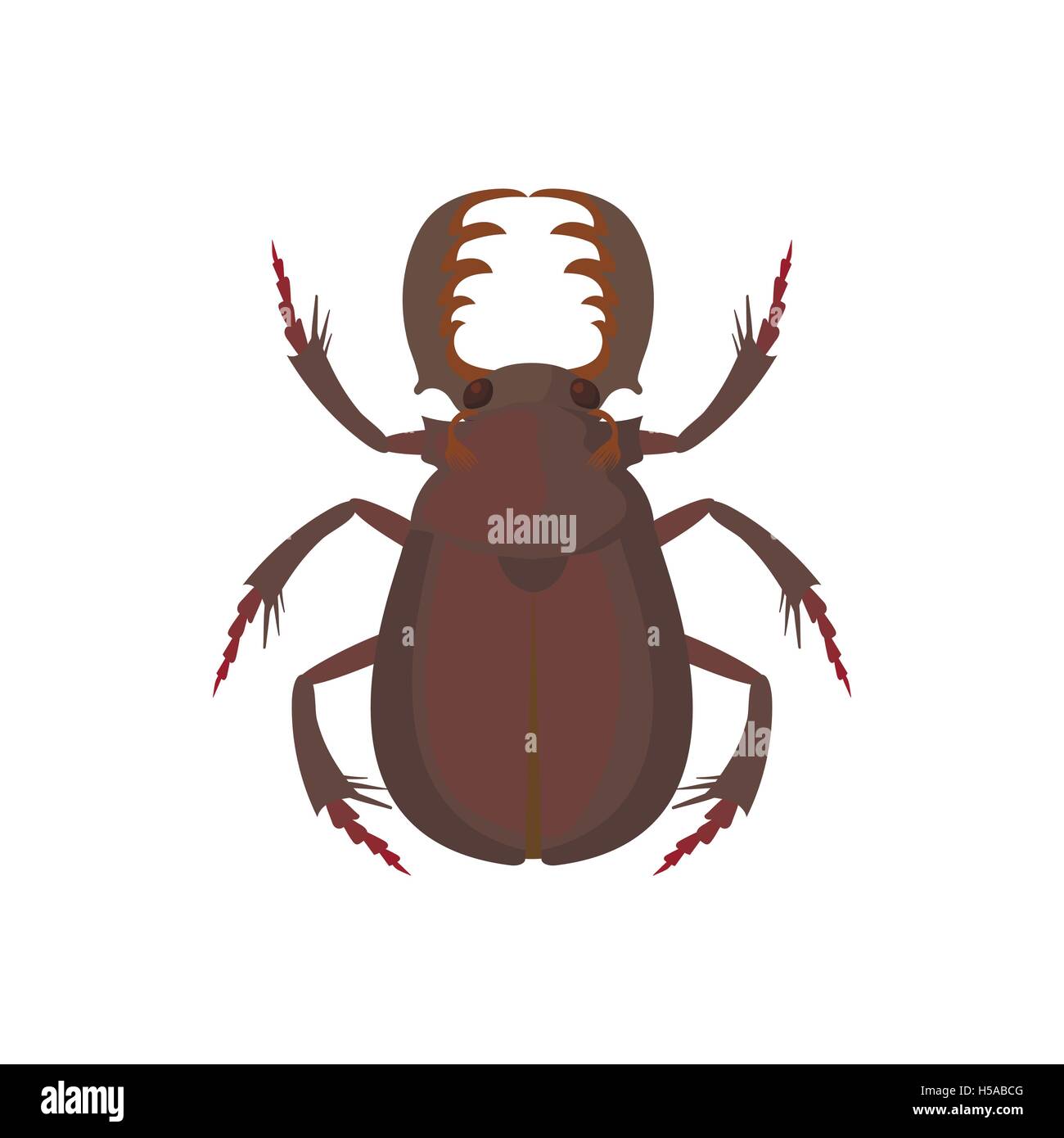 Bug icon, cartoon style Stock Vector Image & Art - Alamy