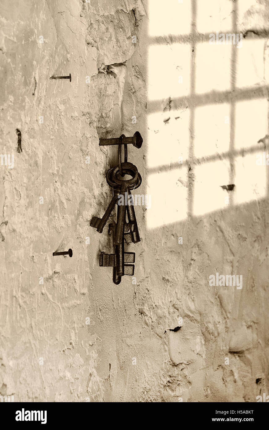 Isolation prison hi-res stock photography and images - Alamy