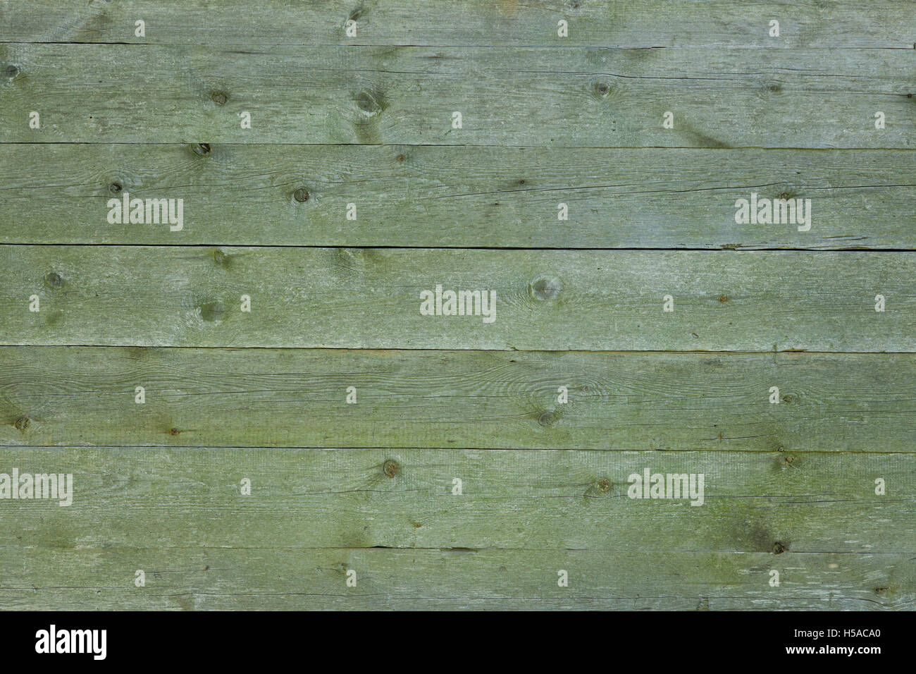 Green background hi-res stock photography and images - Alamy
