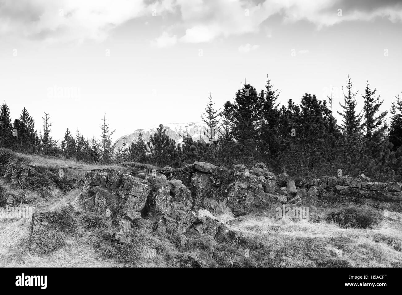 Arid terrain and mountains in distance Stock Photo - Alamy