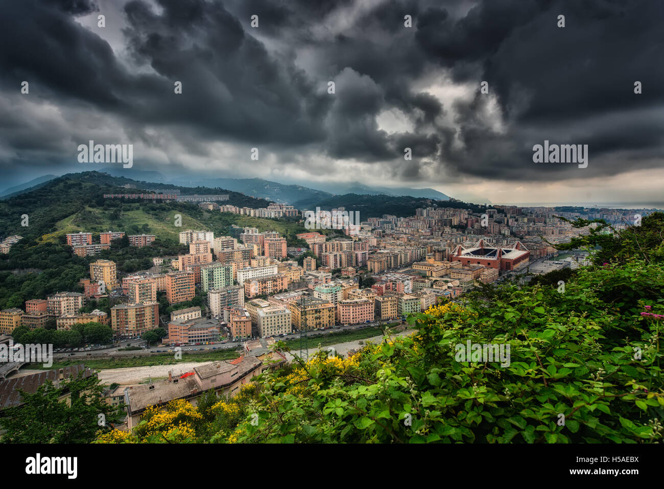 Marassi genoa hi-res stock photography and images - Alamy