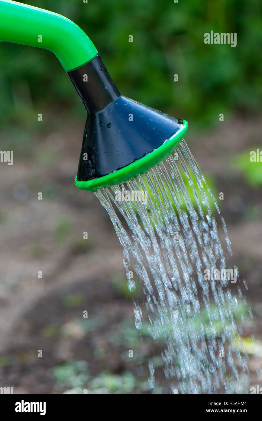 Watering with water that goes down to the earth Stock Photo - Alamy