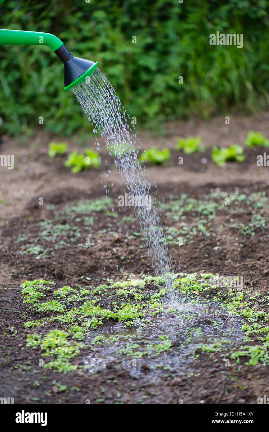 Drop down to earth hi-res stock photography and images - Alamy