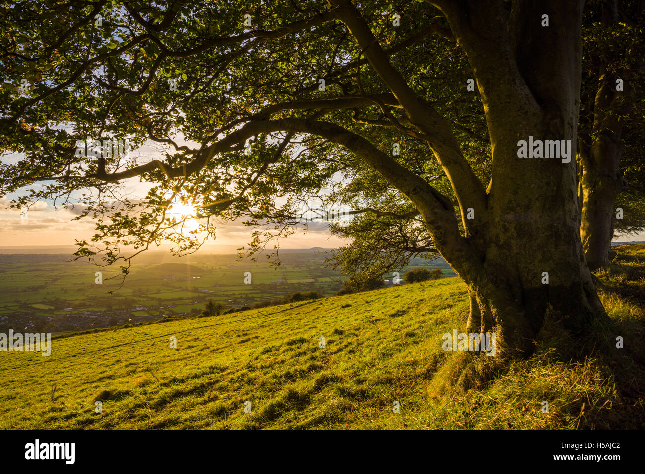 Sleights hi-res stock photography and images - Alamy