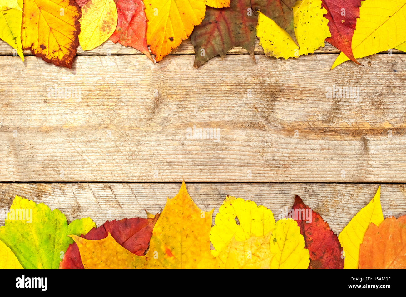Autumn leaves on the background of wooden boards Stock Photo - Alamy