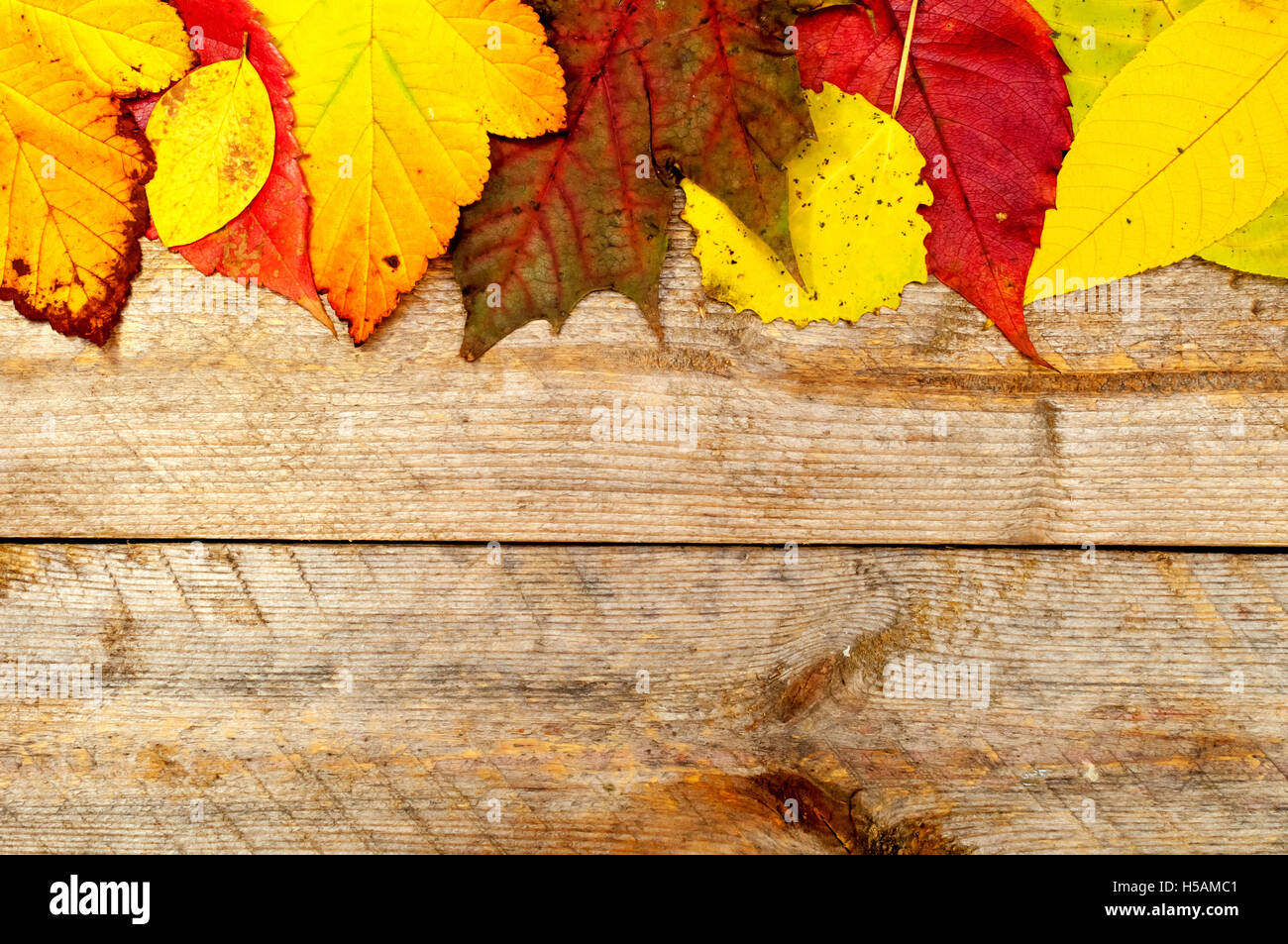 Autumn leaves on the background of wooden boards Stock Photo - Alamy