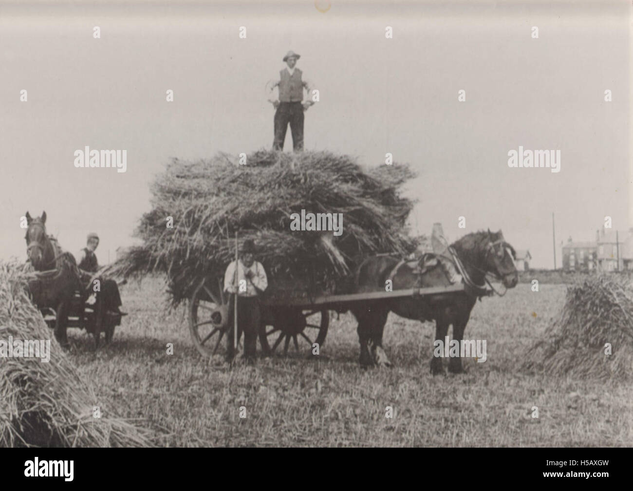 A scene depicting traditional haymaking, featuring a horse and cart ...
