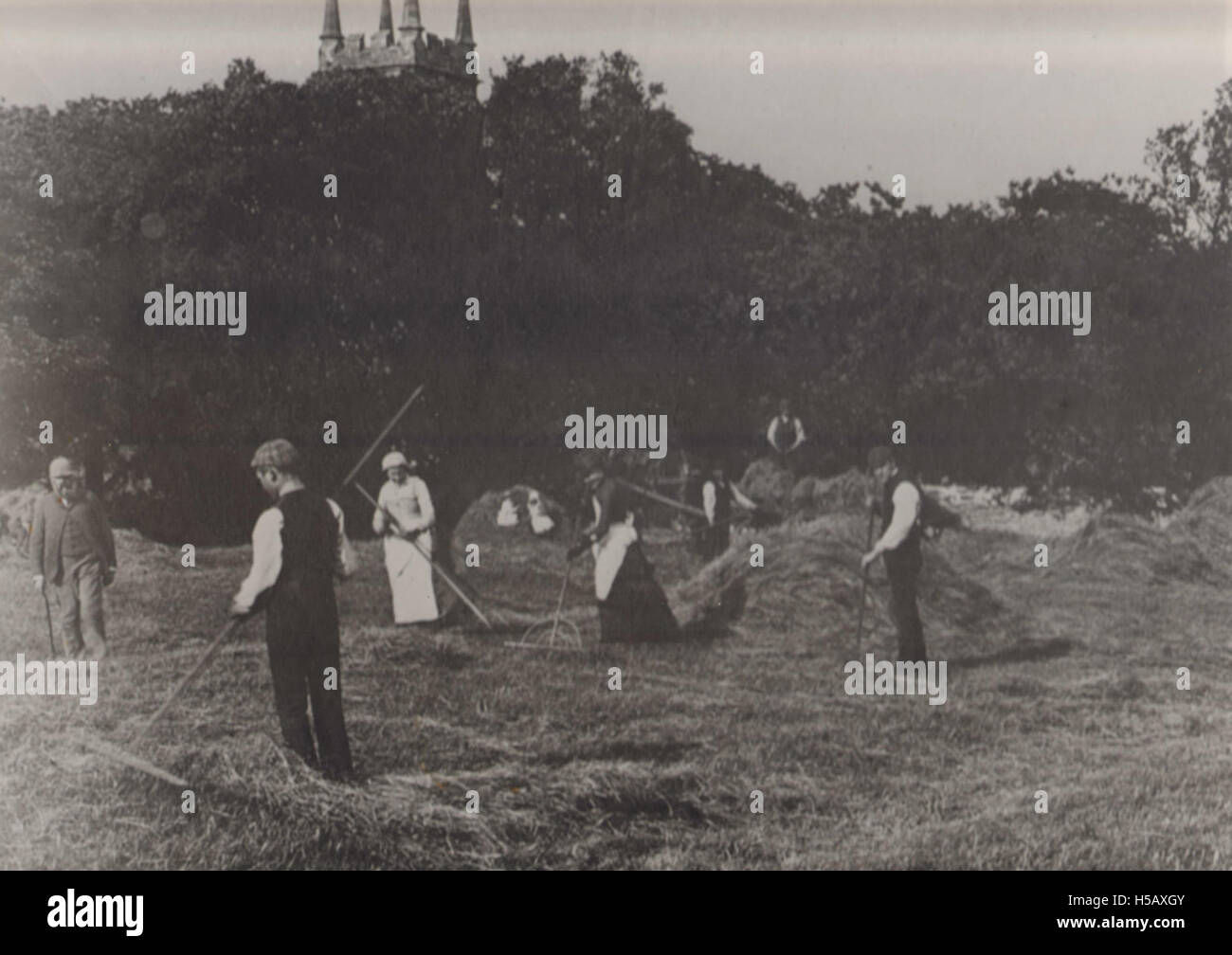 Making hay vintage hi-res stock photography and images - Alamy