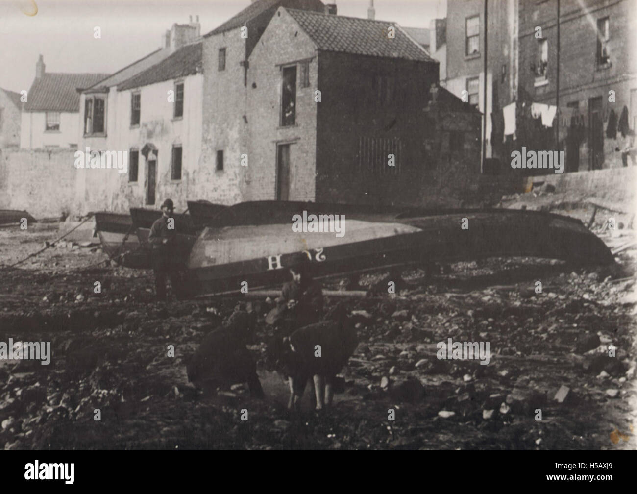 An image depicting traditional fishing boats, known as cobles, on a ...