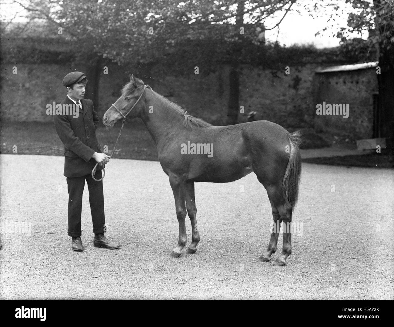 This image, dated May 20, 1904, offers a glimpse into daily life and ...