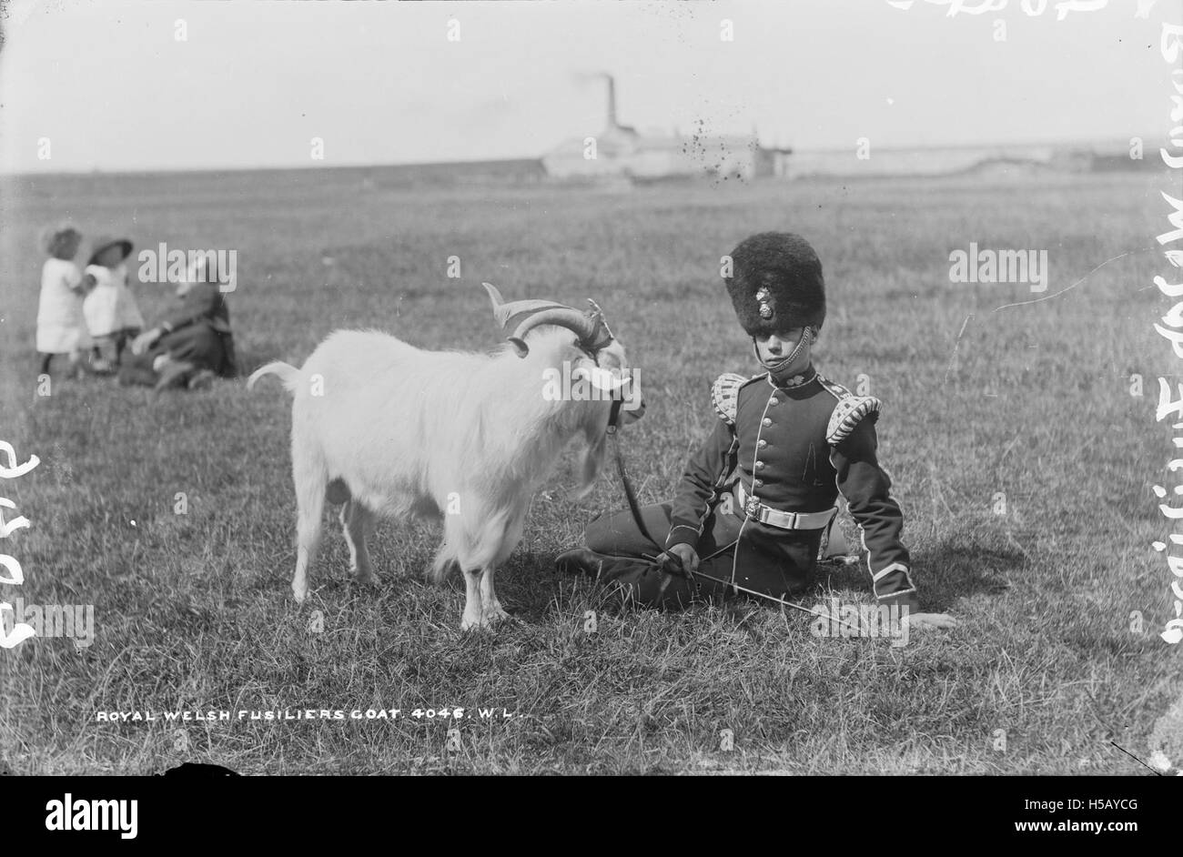 Human goat interaction hi-res stock photography and images - Alamy