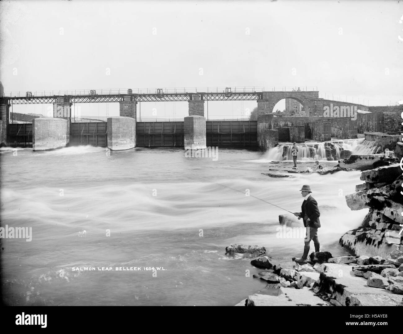 This title likely refers to a natural phenomenon known as a salmon leap ...