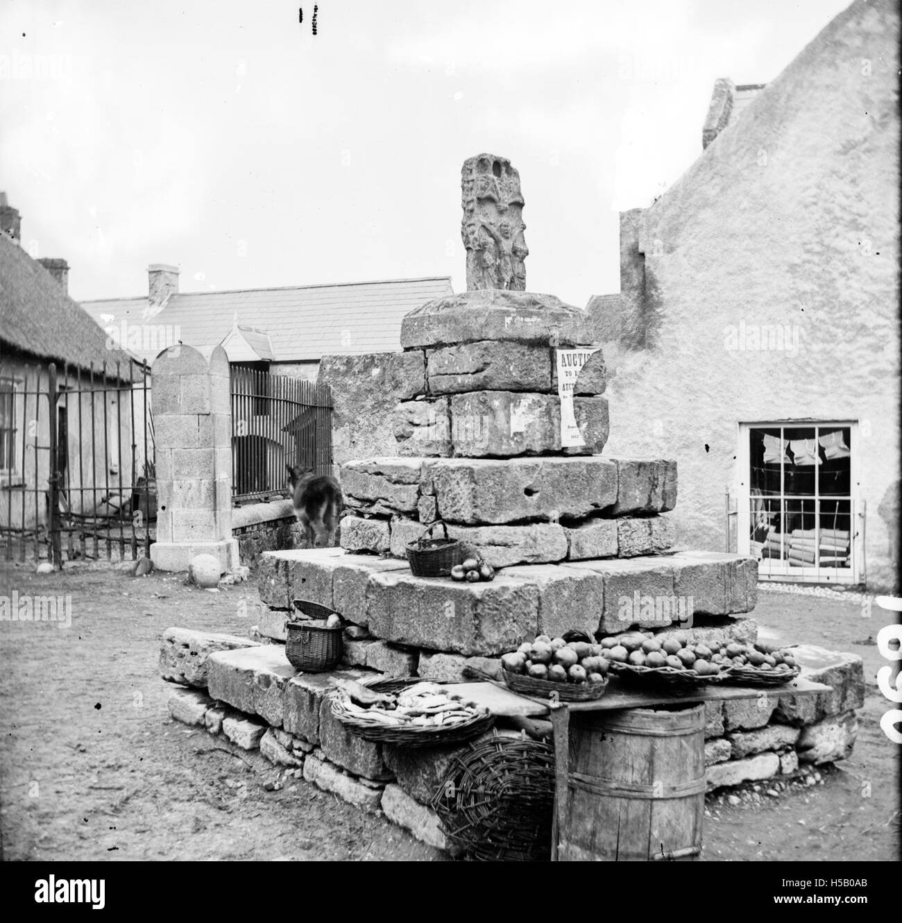 D i Black and White Stock Photos & Images - Alamy